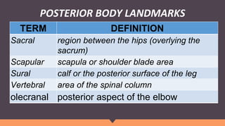Posterior Body Landmarks