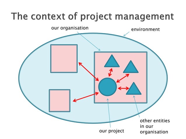 Designing the Project Organization | PPT