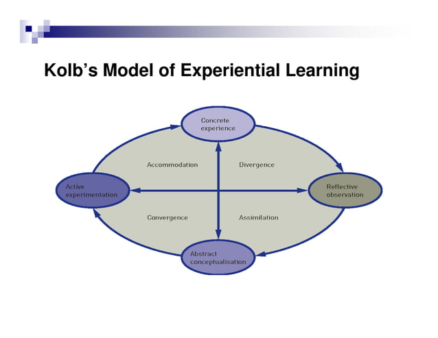 Individual Differences and Learning | PDF | Science