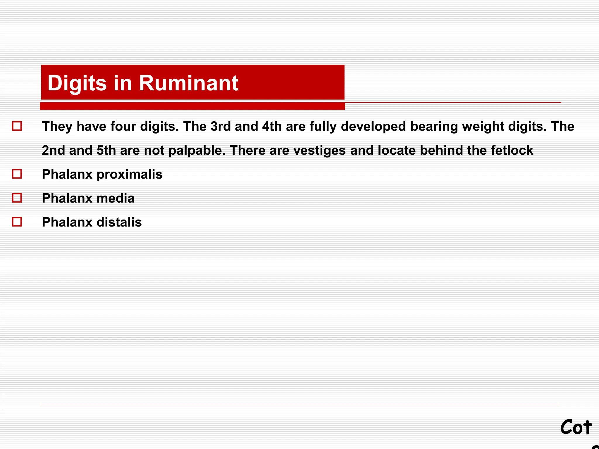 Week 03 - Osteology (Forelimb Bones).ppt