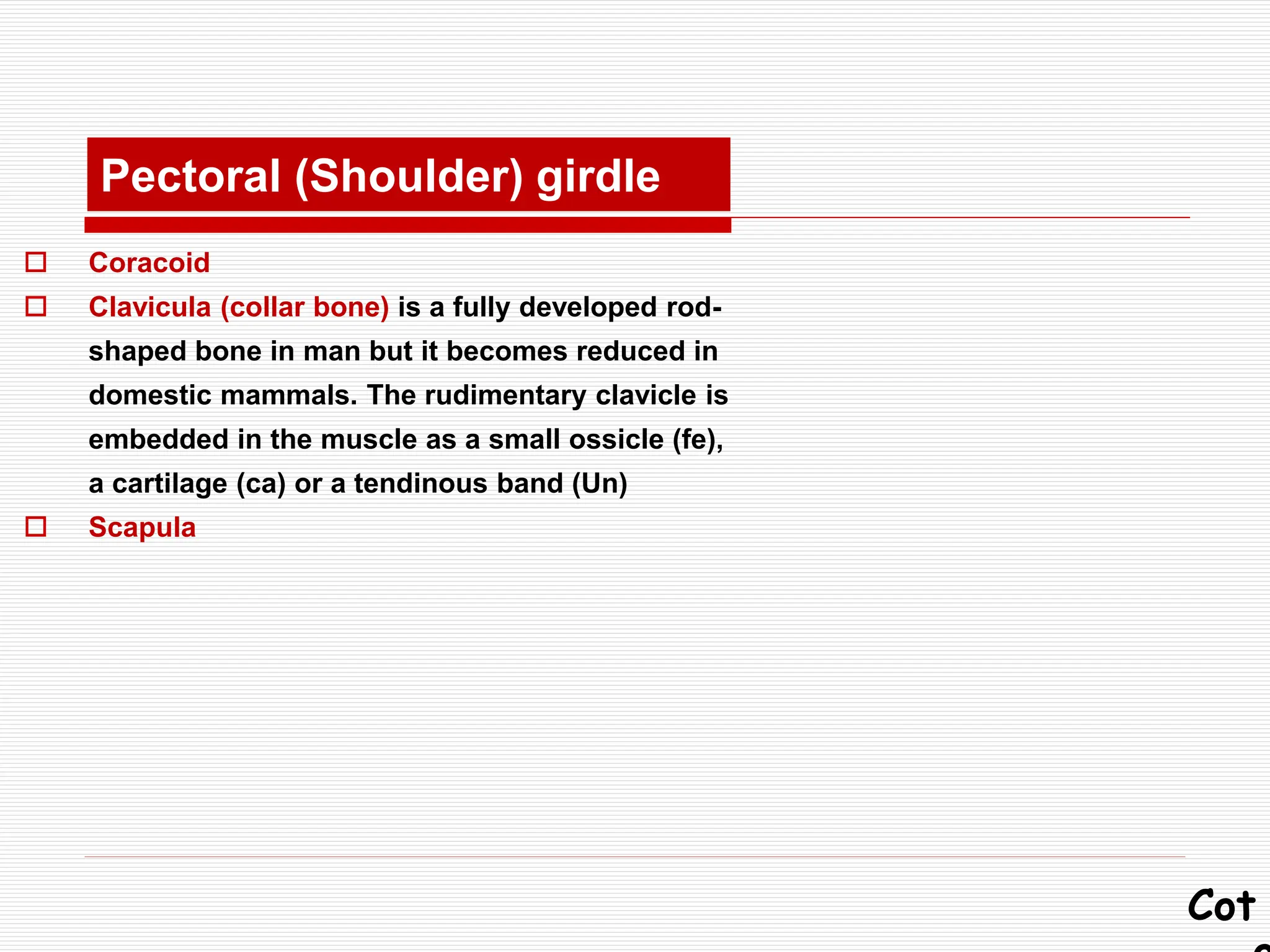 Week 03 - Osteology (Forelimb Bones).ppt