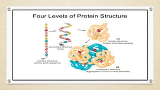 Week 03-Physical-Science Biological Molecules | PPTX