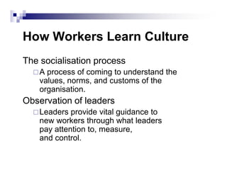 Organizational Culture and Values | PDF