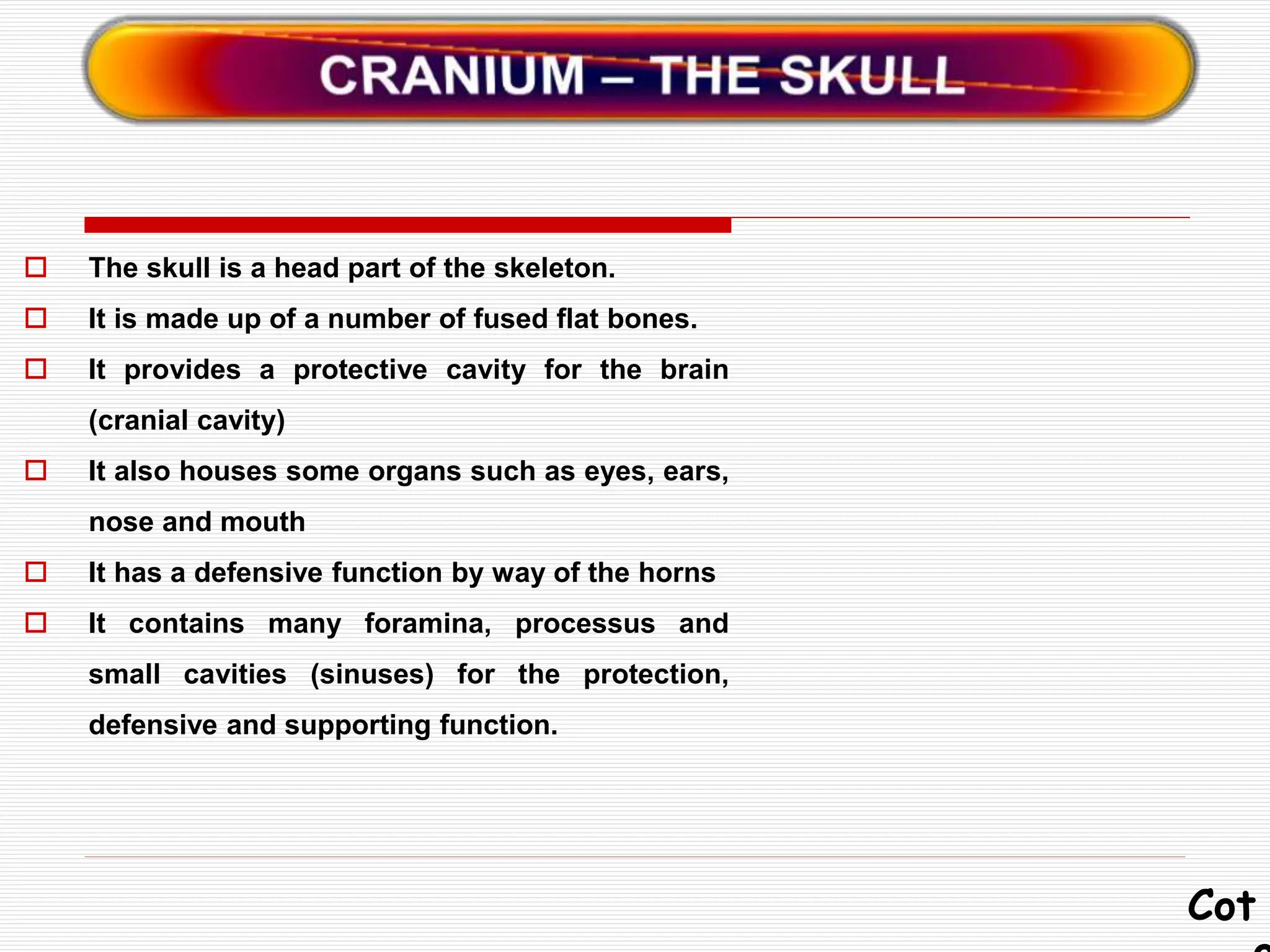 Week 05 - Osteology (Skull).ppt mbbs first year head and neck ...
