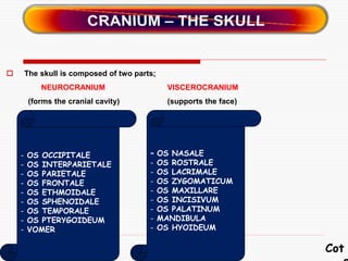 Week 05 - Osteology (Skull).ppt mbbs first year head and neck ...