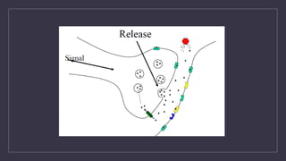 Week 1 Introduction | PPT