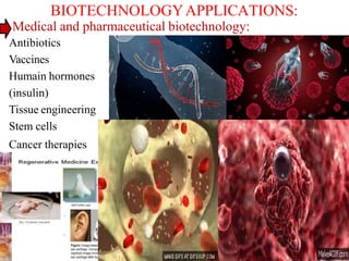 Introduction to Food Biotechnology | PDF