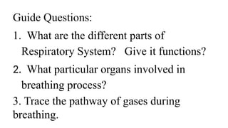WEEK 1 Science 9 Quarter 1 Respiratory System.pptx