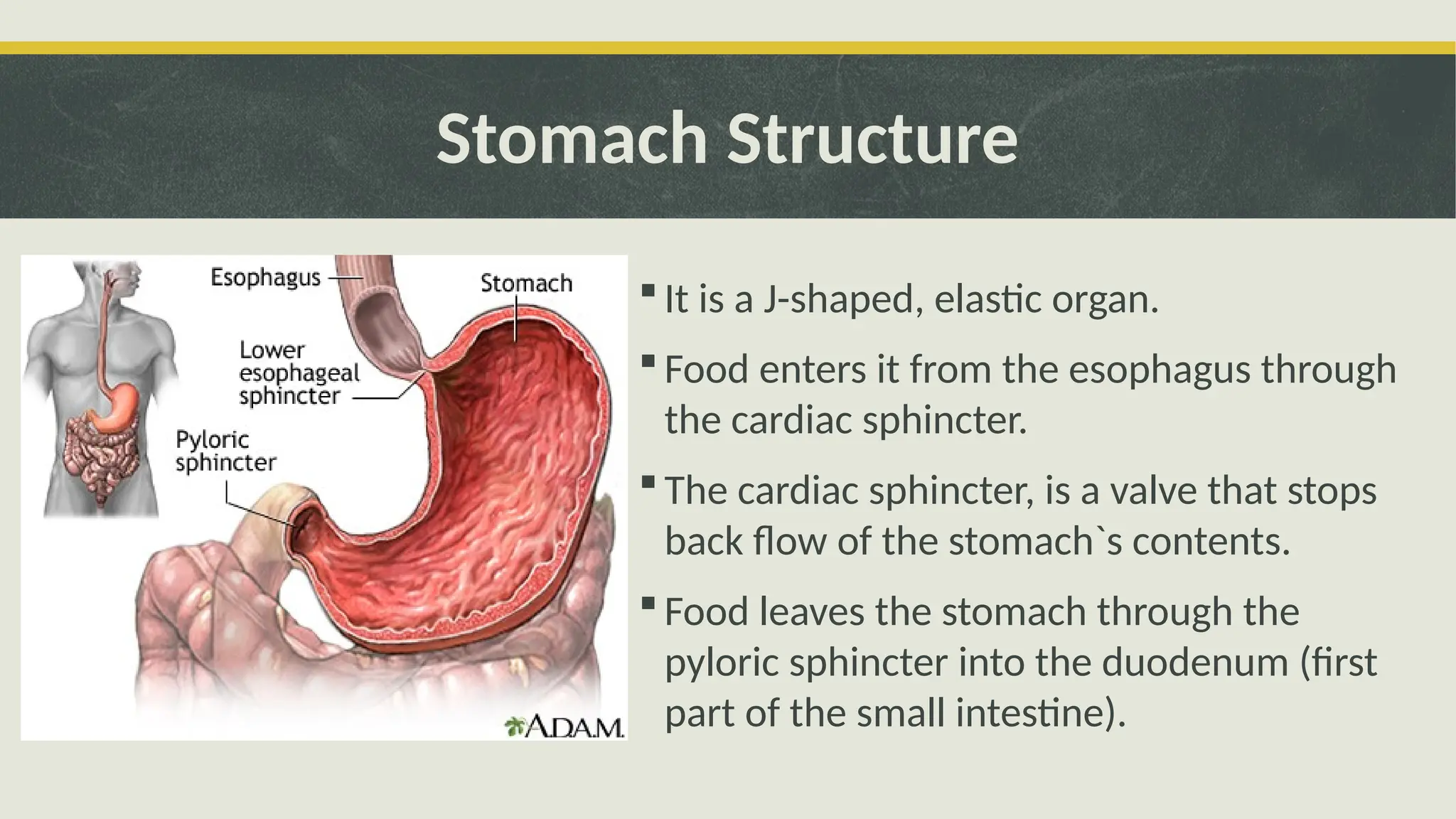 Grade 8 week 1 matatag curriculum science | PPTX