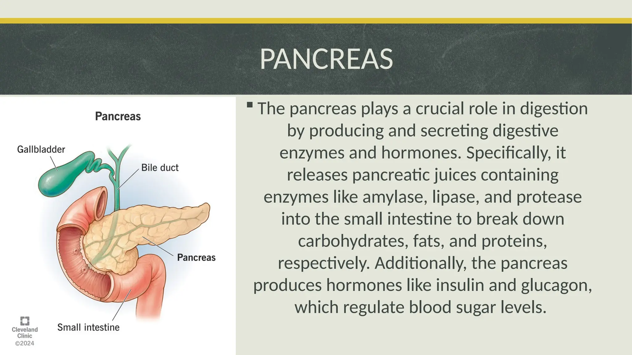 Grade 8 week 1 matatag curriculum science | PPTX