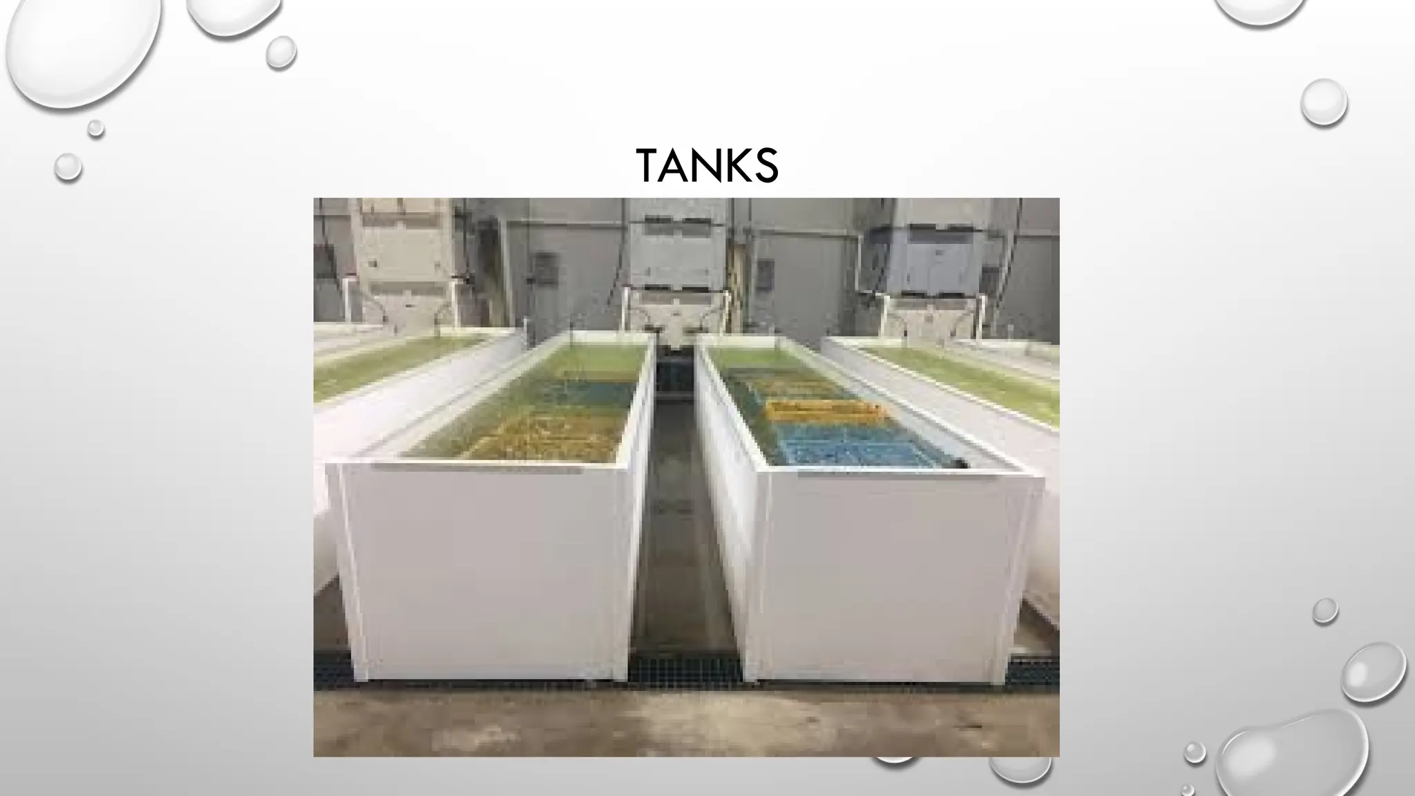 Aquaculture and Fisheries • brief background of aquaculture • types of ...