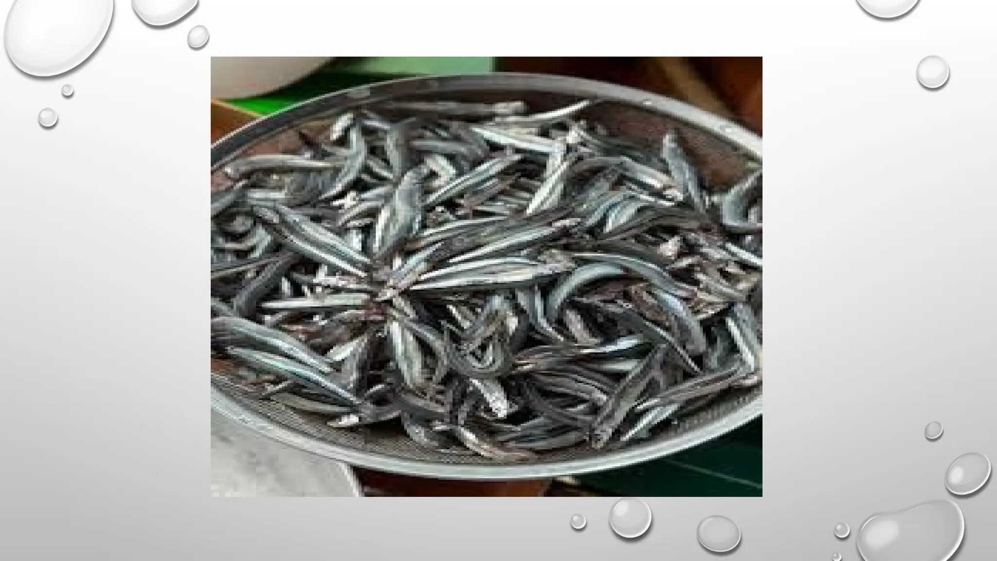 Aquaculture and Fisheries • brief background of aquaculture • types of ...