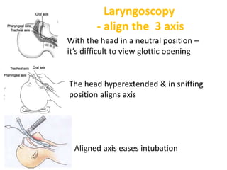 Week 10-Care Plan 3/18/15 | PPT