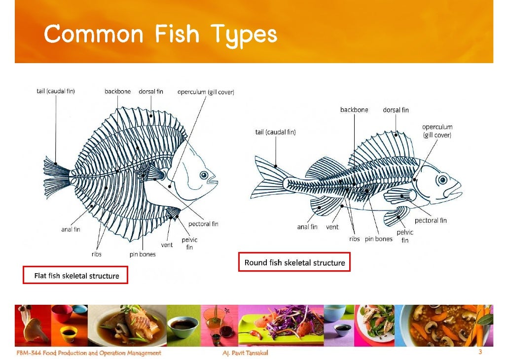 Week 10 Fish And Shellfish