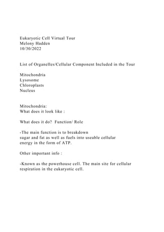 Week 10 Assignment - Project Proposal Execution, Control, and Clo.docx