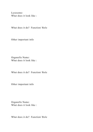 Week 10 Assignment - Project Proposal Execution, Control, and Clo.docx