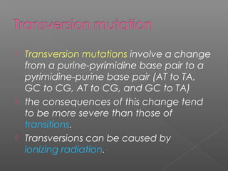 gene mutation | PPT