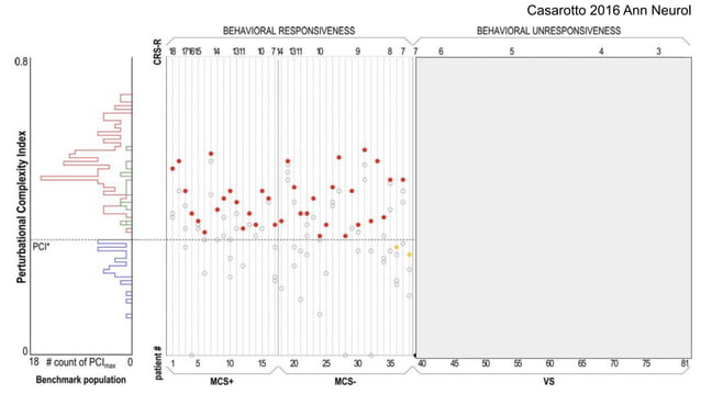 Week 10 neural basis of consciousness integrated information theory of ...