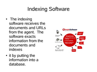 Week10 Presentation | PDF | Search | Internet