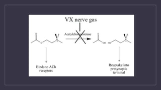 Week 11 The two dichotomies | PPT