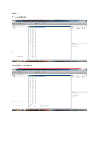 Week11 | PDF