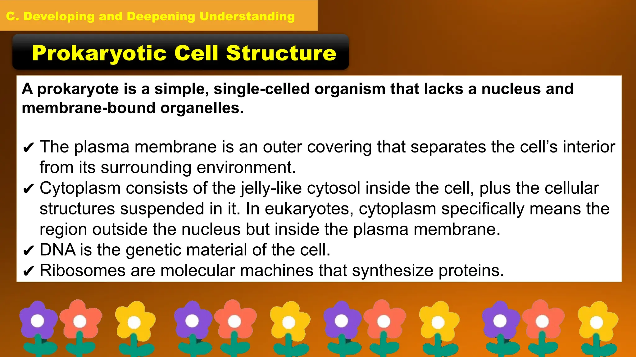 prokaryoticc vs eukaryotic Cells grade 7 | PPTX