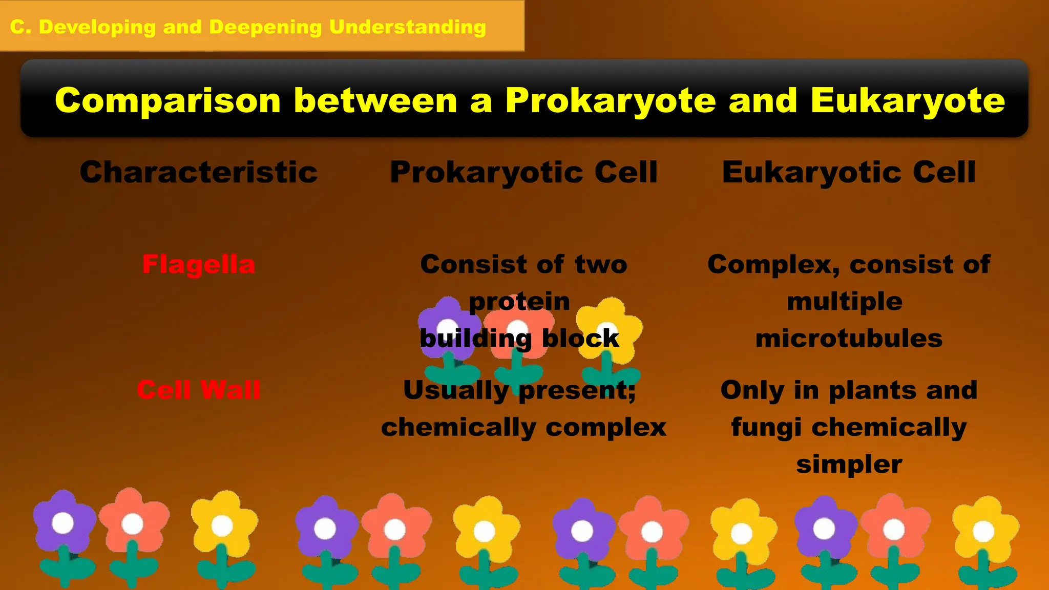 prokaryoticc vs eukaryotic Cells grade 7 | PPTX
