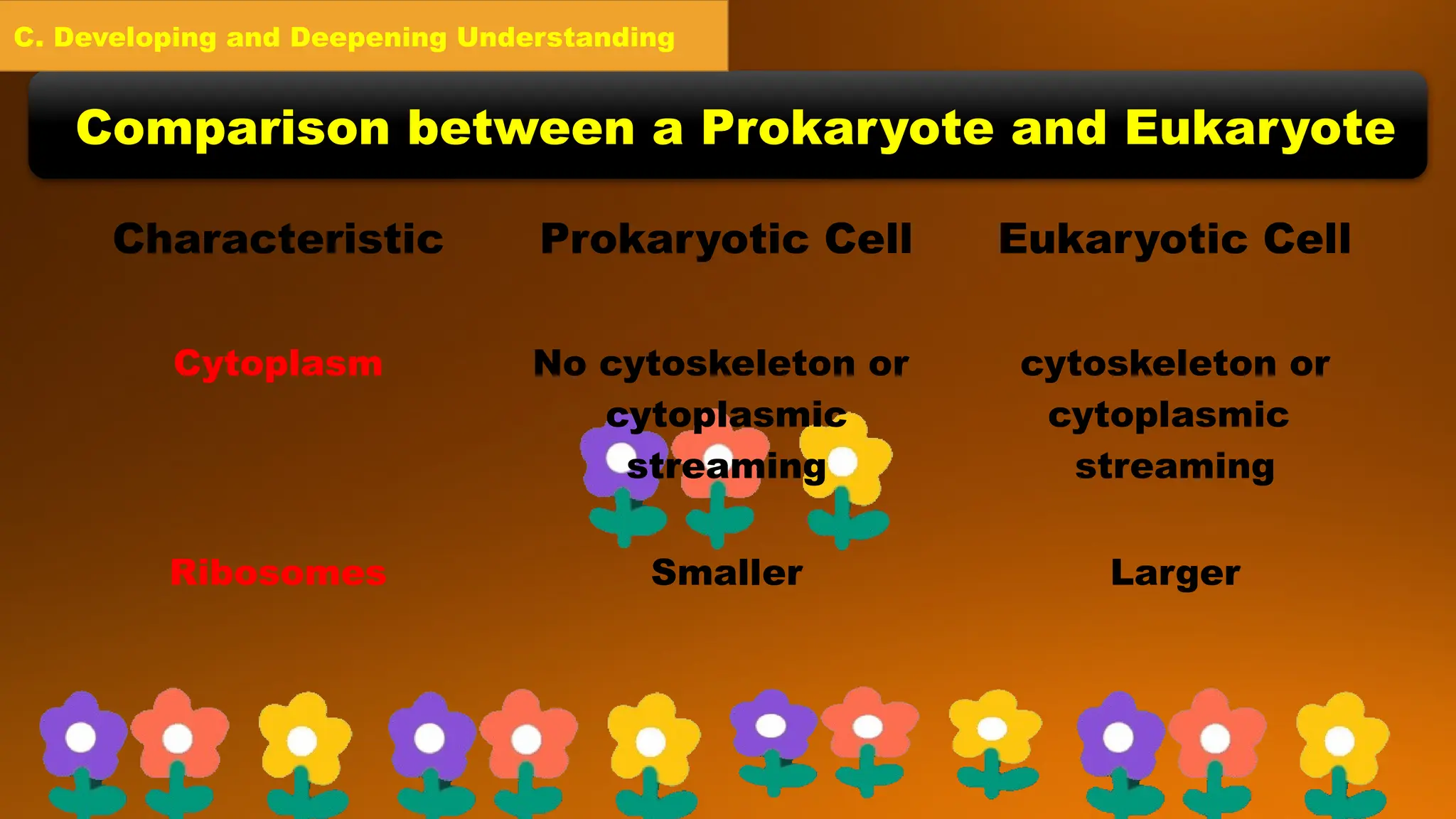 prokaryoticc vs eukaryotic Cells grade 7 | PPTX