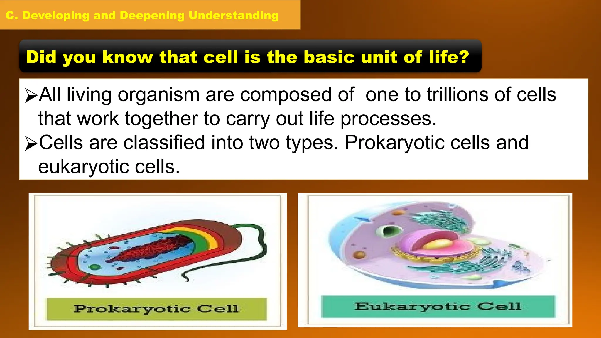 prokaryoticc vs eukaryotic Cells grade 7 | PPTX