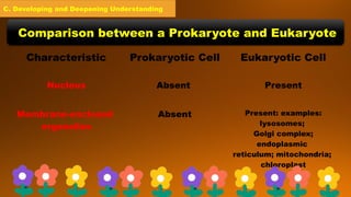 prokaryoticc vs eukaryotic Cells grade 7 | PPTX