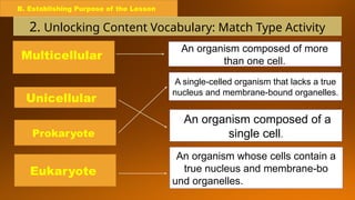 prokaryoticc vs eukaryotic Cells grade 7 | PPTX