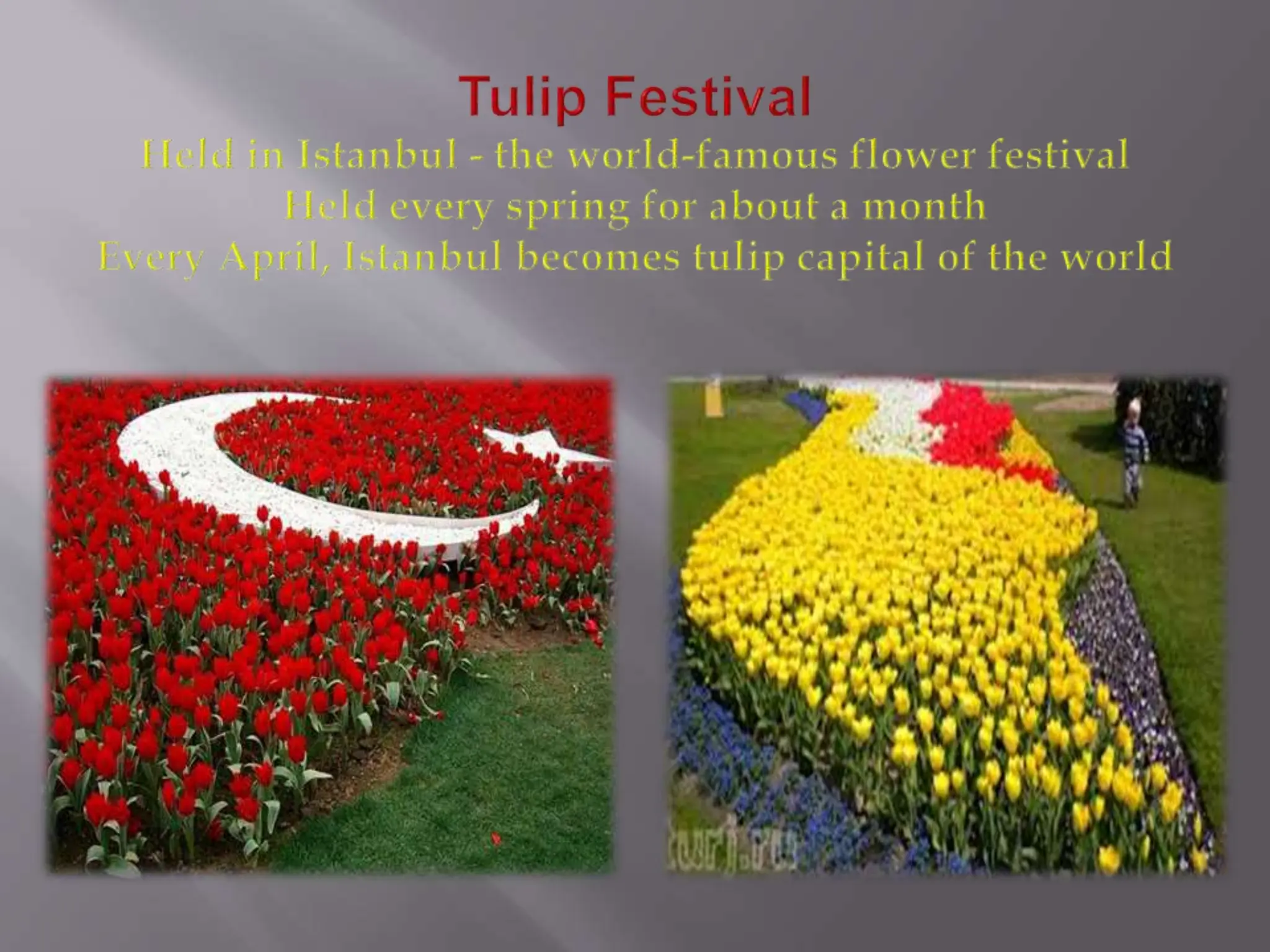 Week 11 - All About Turkiye's Culture.pptx