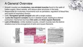 week1 Smooth Muscle physiology 2025.pptx