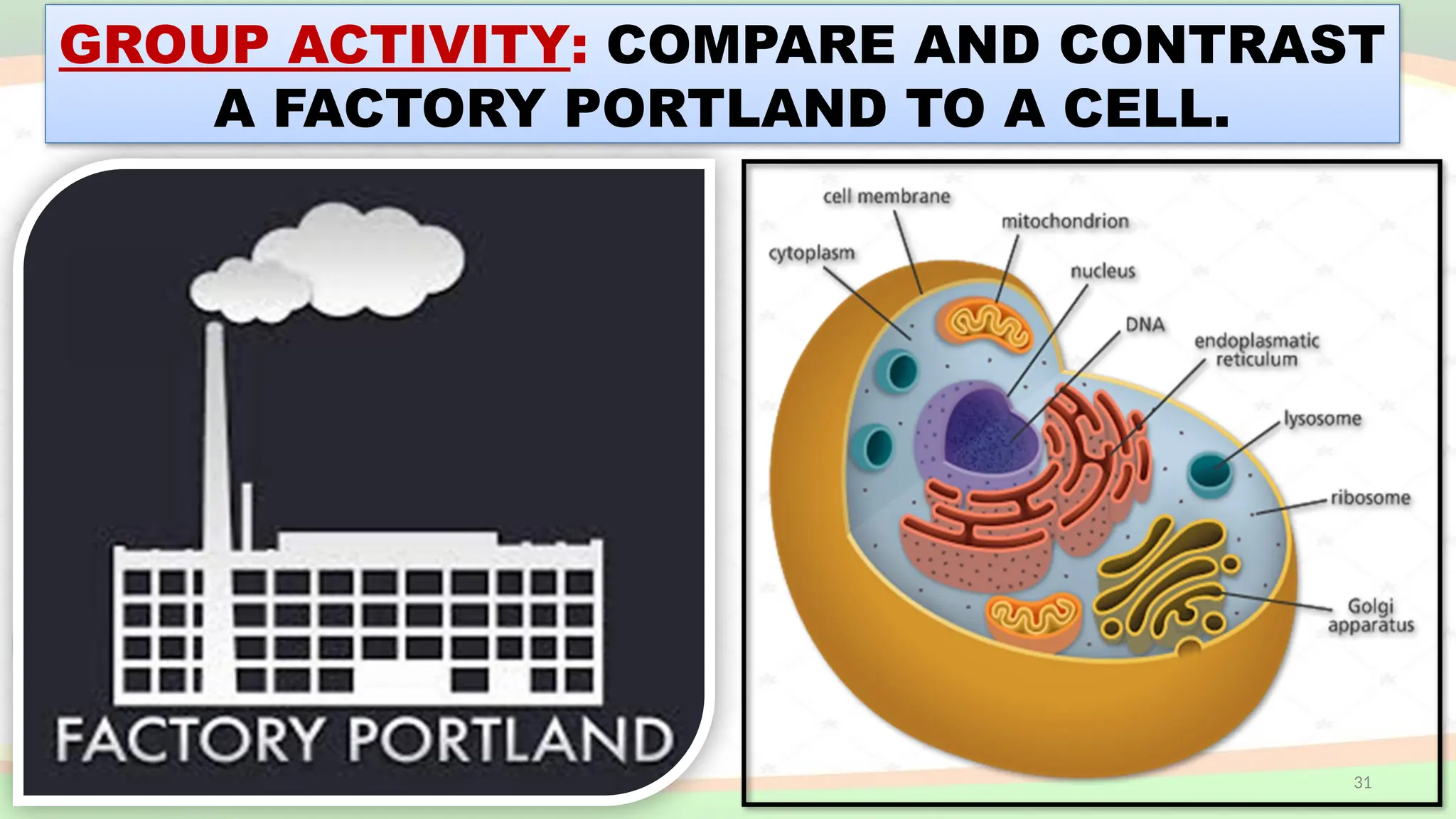 Cell Structure And Reproduction Sexual And Asexual Pptx Pptx