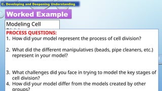 Week 12 Presentation about cell division | PPT | Free Download