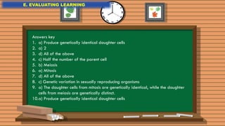 Week 12 Presentation about cell division | PPT
