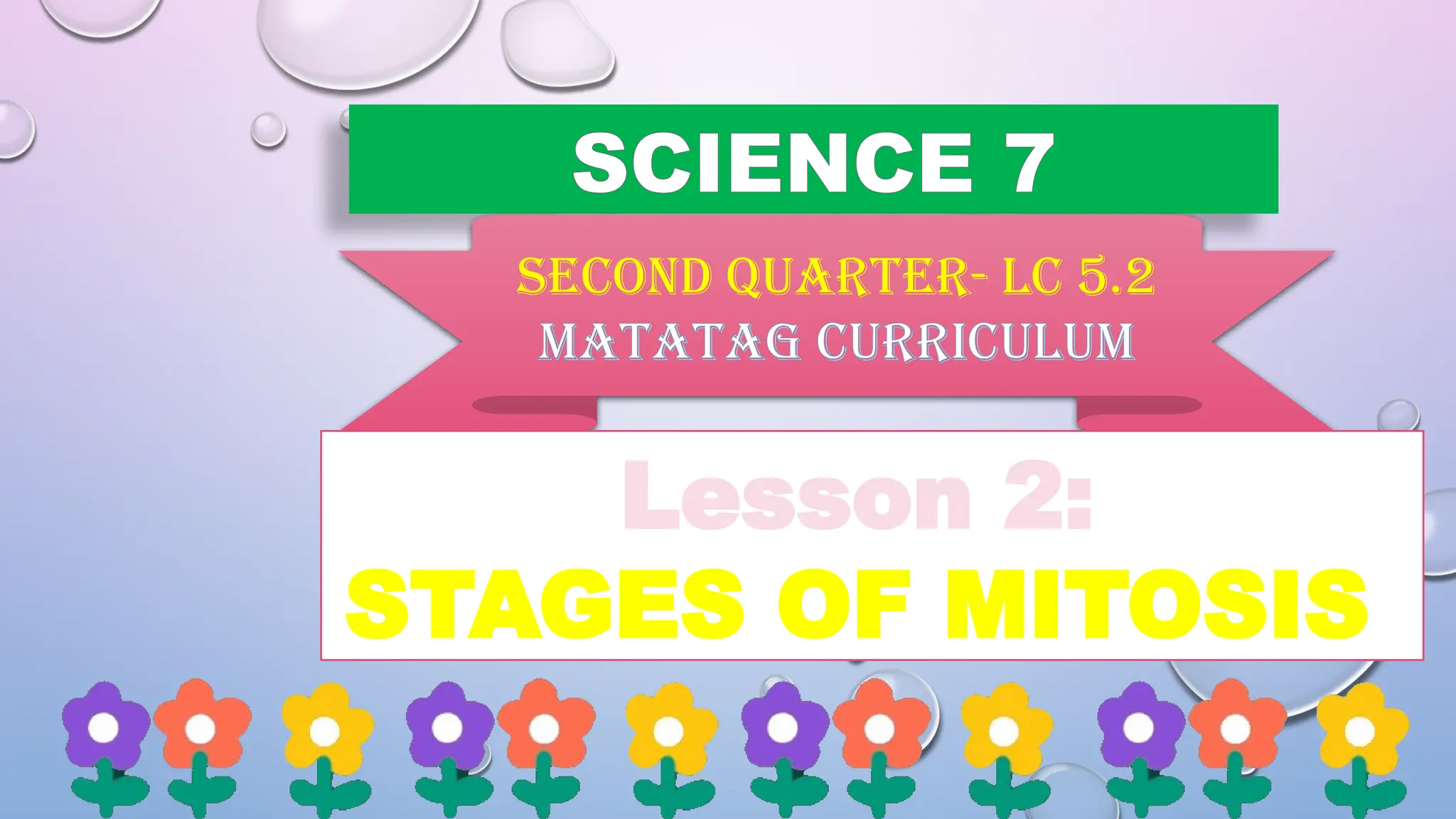 Week 12- Day 2-3 7 Science Stages of Mitosis.pptx