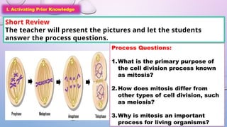 Week 12- Day 2-3 7 Science Stages of Mitosis.pptx