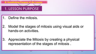 Week 12- Day 2-3 7 Science Stages of Mitosis.pptx