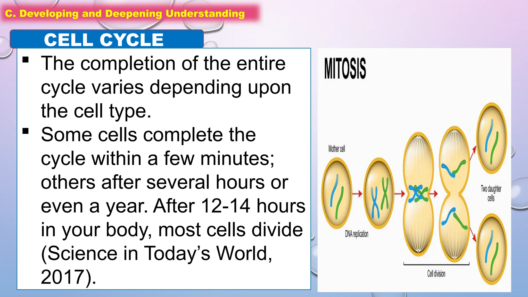 Week 12- Day 2-3 7 Science stages of meiosis.pptx