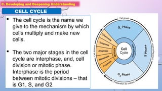 Week 12- Day 2-3 7 Science stages of meiosis.pptx