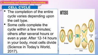 Week 12- Day 2-3 7 Science stages of meiosis.pptx