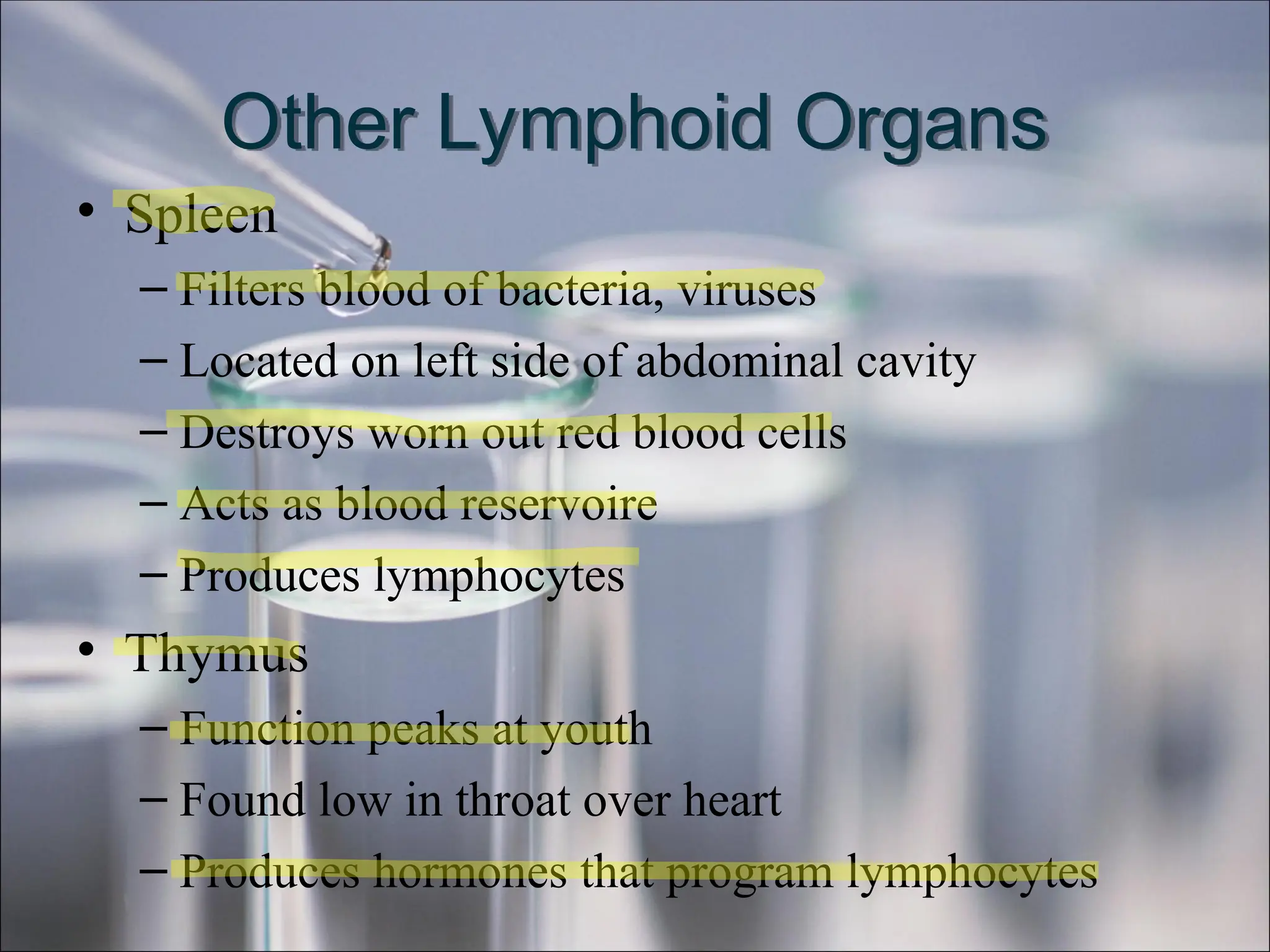 Lymphatic system PowerPoint slides for university | PPT