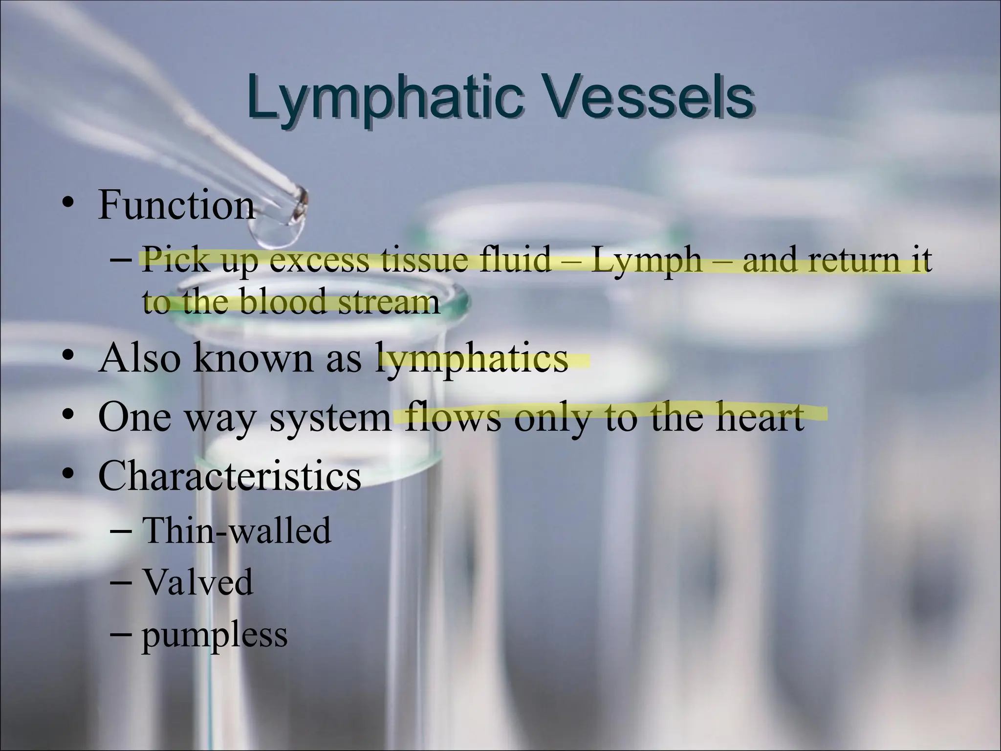 Lymphatic system PowerPoint slides for university | PPT