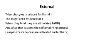 WEEK 12 2023 Apoptosis.pptx