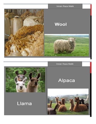 Lecture of textile fiber introduction for students | DOCX