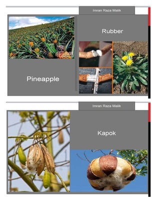 Lecture of textile fiber introduction for students | DOCX