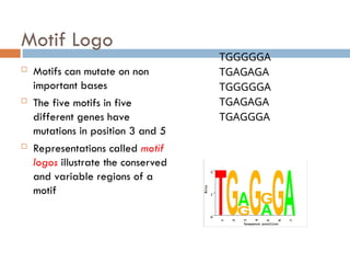 Week_12_Motifs of bioinformatics introduction | PPT