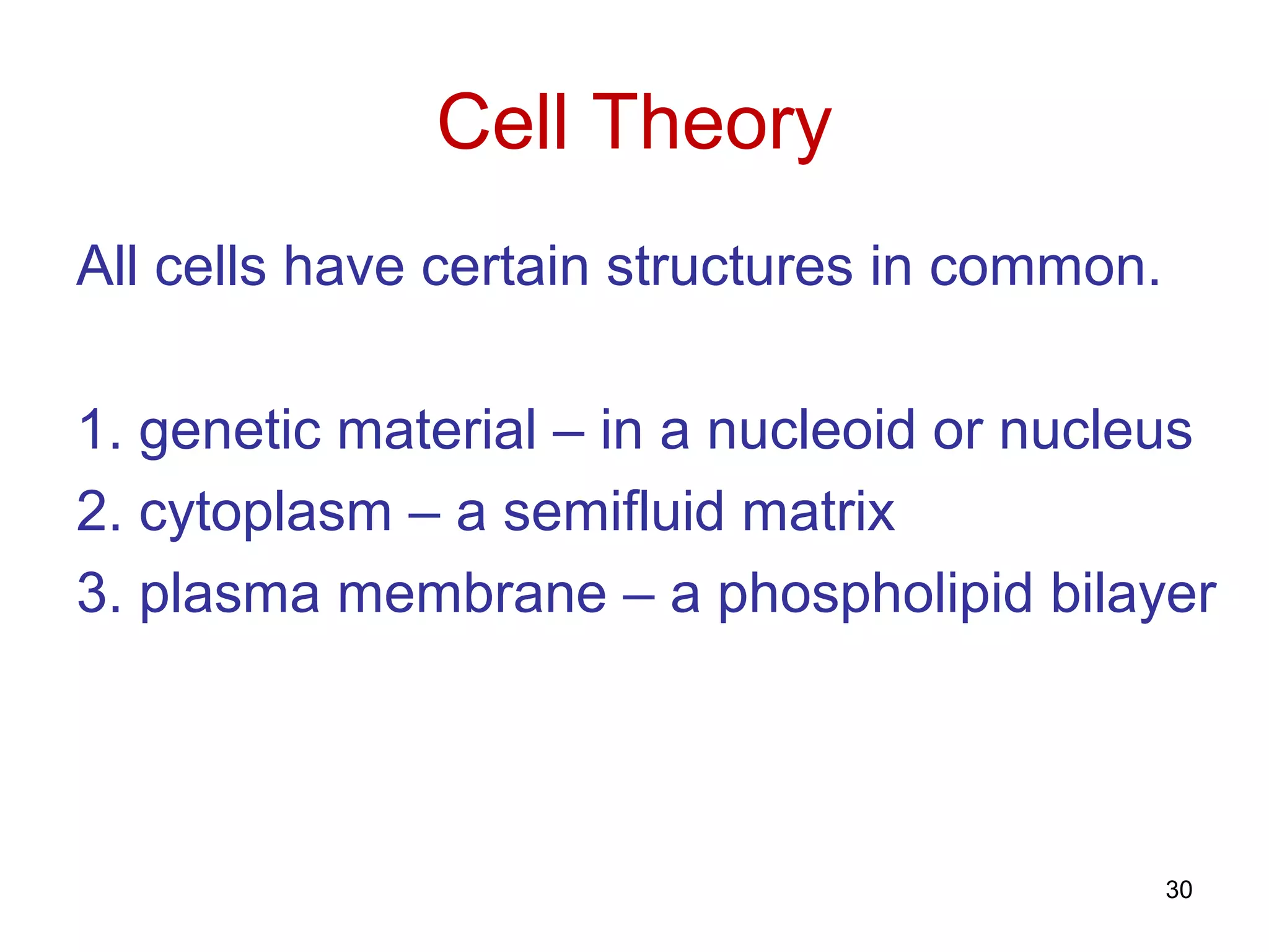 the cell | PPT