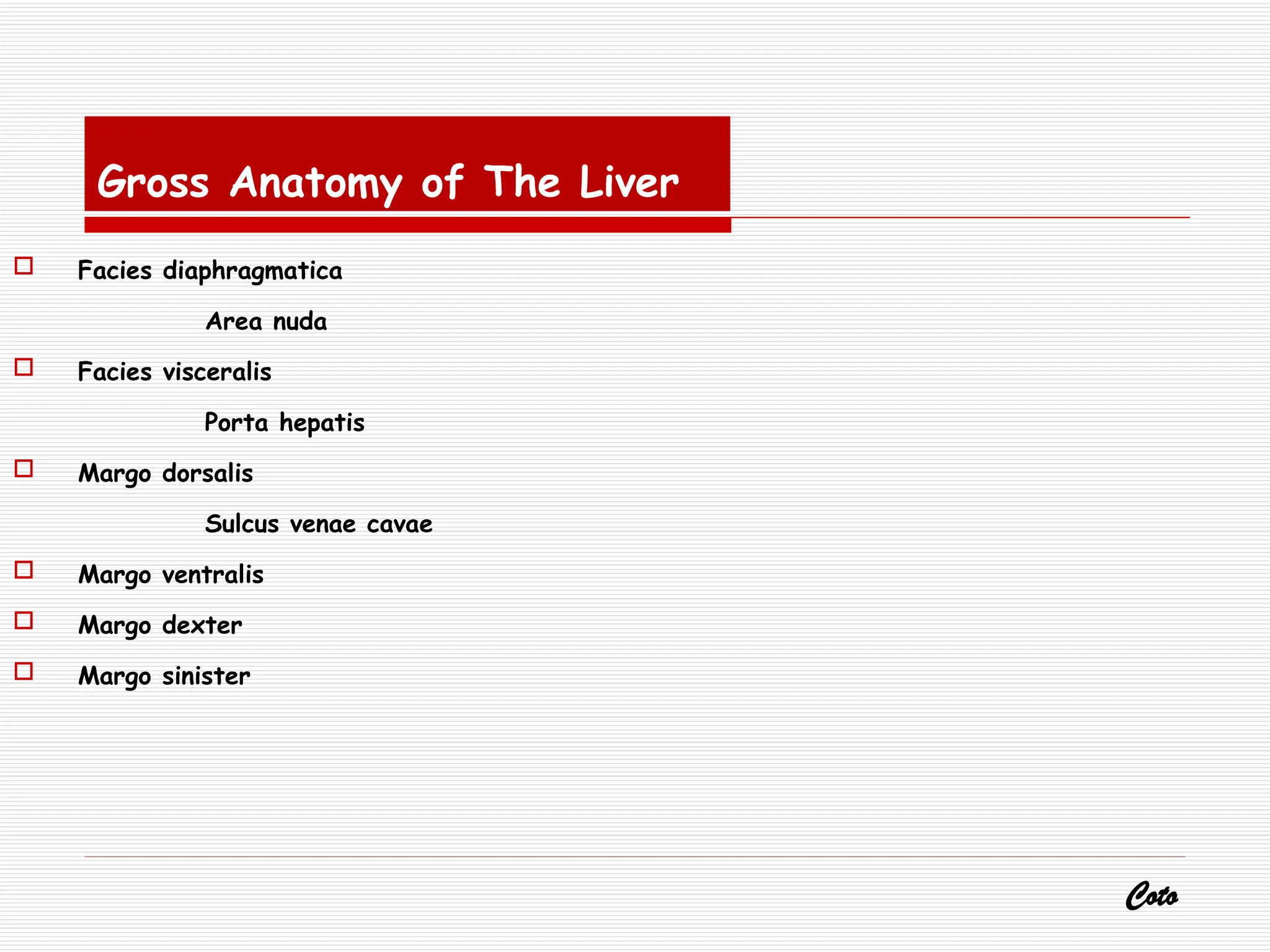 Week 13 - Digestive System (Digestive Glands).ppt | Endocrine and ...